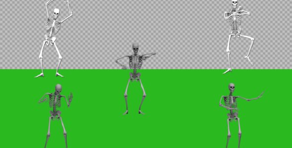 skeleton dance animation greenscreen and alpha video, FBX file with ...